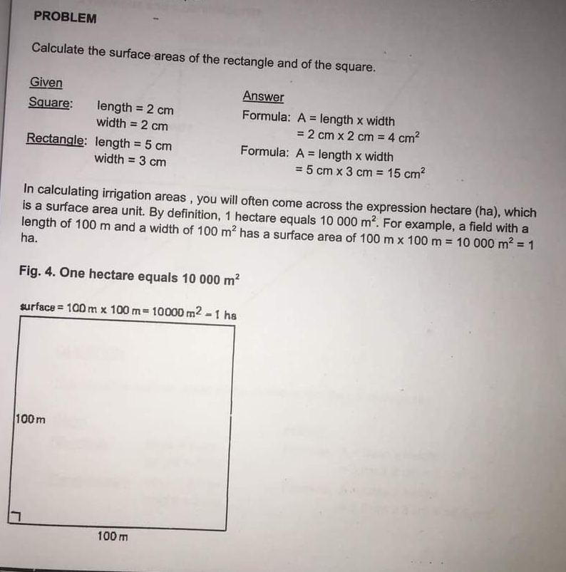 Solved: PROBLEM Calculate the surface areas of the rectangle and of the ...