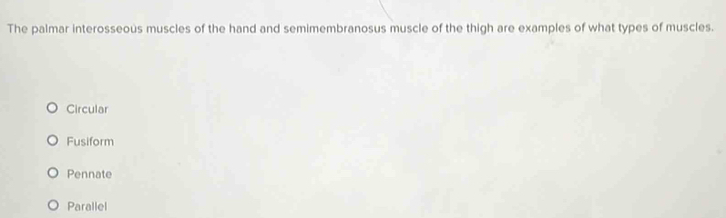 Solved: The palmar interosseous muscles of the hand and semimembranosus ...