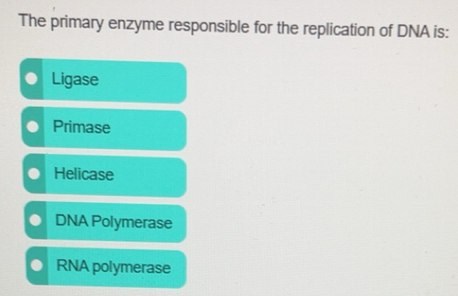 Solved: The primary enzyme responsible for the replication of DNA is ...