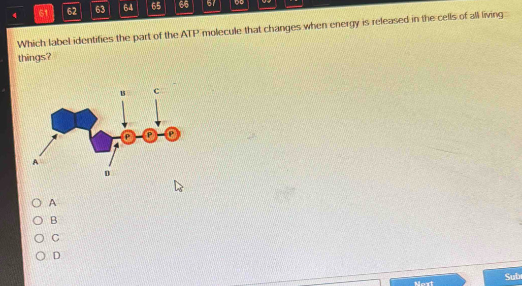 Solved: 62 63 64 65 66 67 6 Which label identifies the part of the ATP ...
