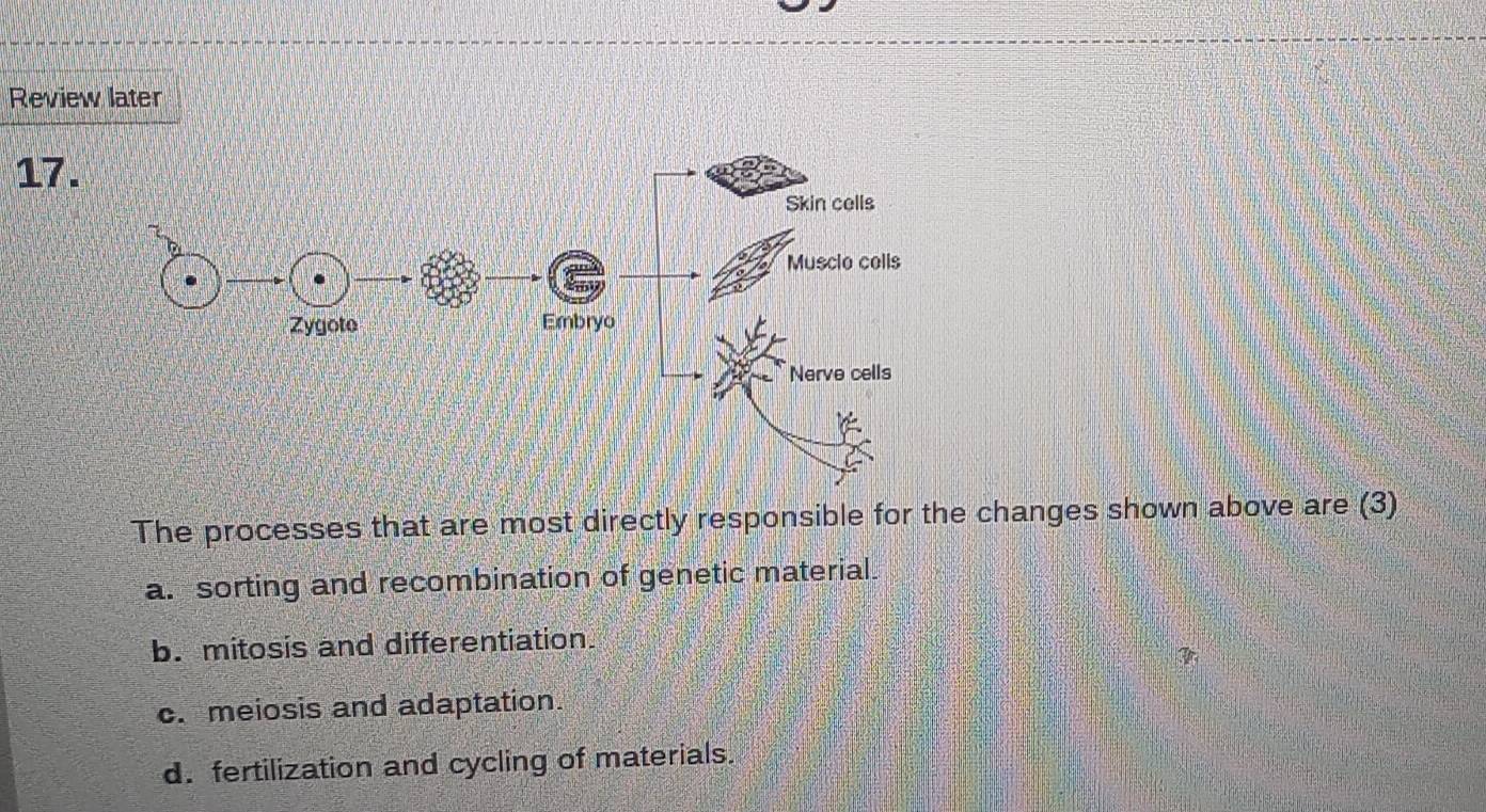 Solved: Review later 17. The processes that are most directly ...