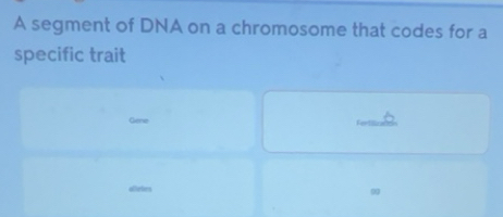 Solved: A segment of DNA on a chromosome that codes for a specific ...