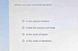 Solved: Where are oxon terminois located? In the neuron nucleus inside ...