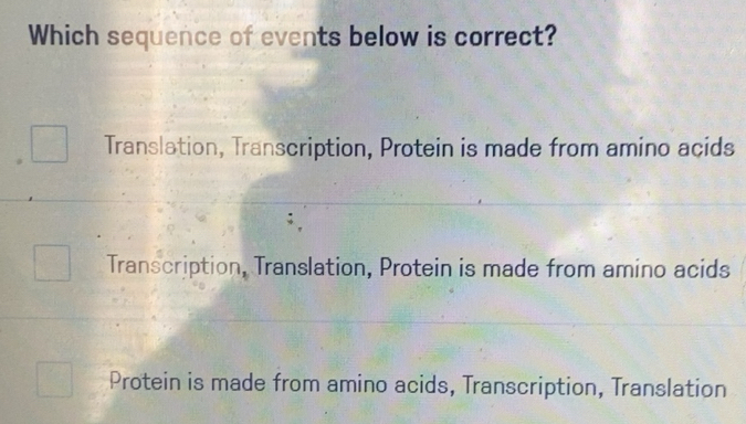 Solved: Which sequence of events below is correct? Translation ...