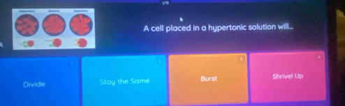 Solved: A cell placed in a hypertonic solution will... Divide Stay the ...