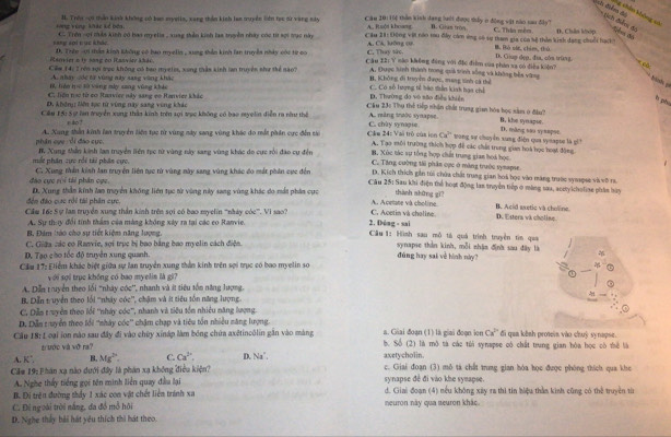 Giải quyết:==g châm không nử tích đim đá A., Ruột khoang B. Giam tròn ...
