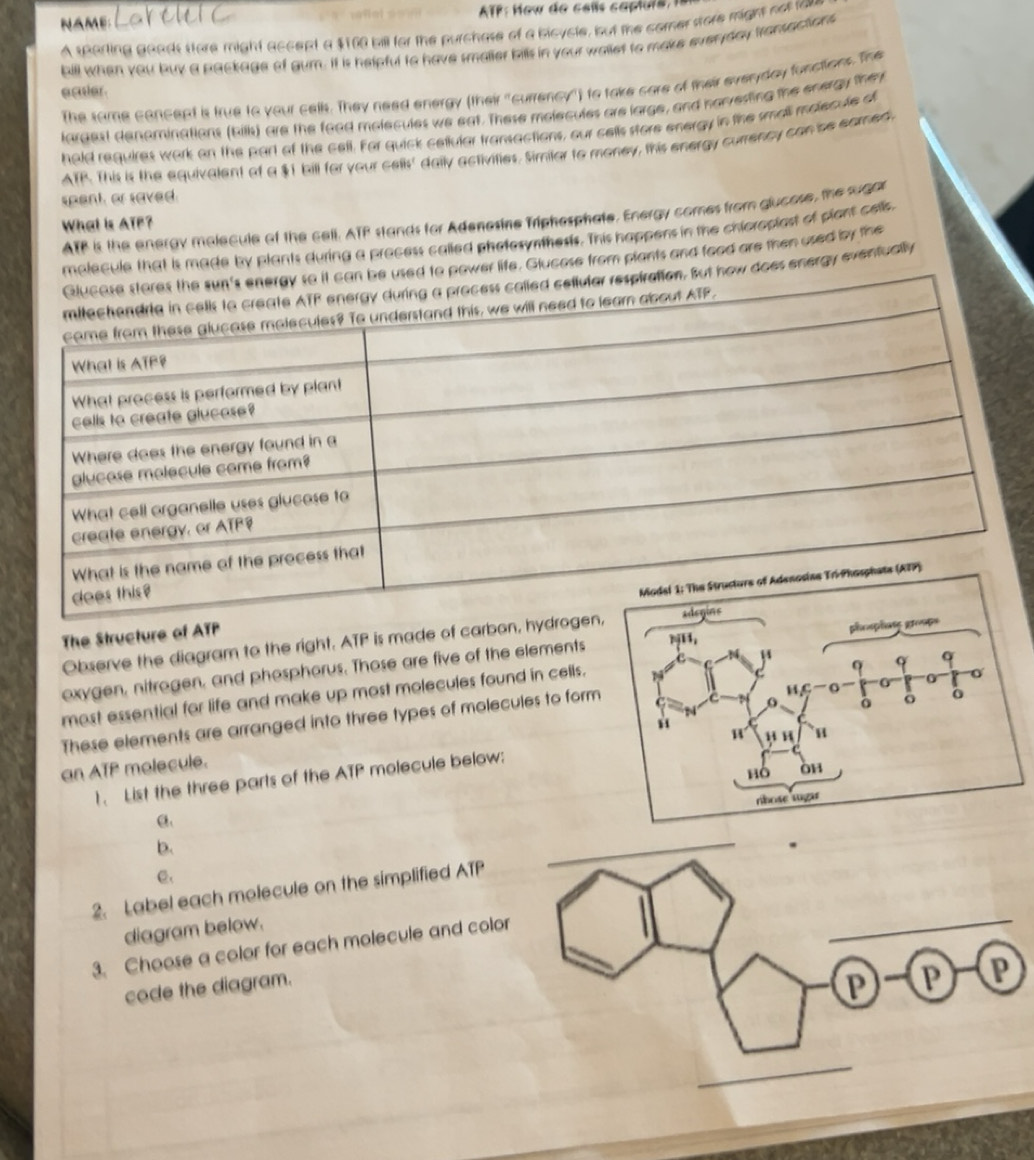 Gelöst:reuc NAME: A sparling goods sore might accept a $160 bill for ...