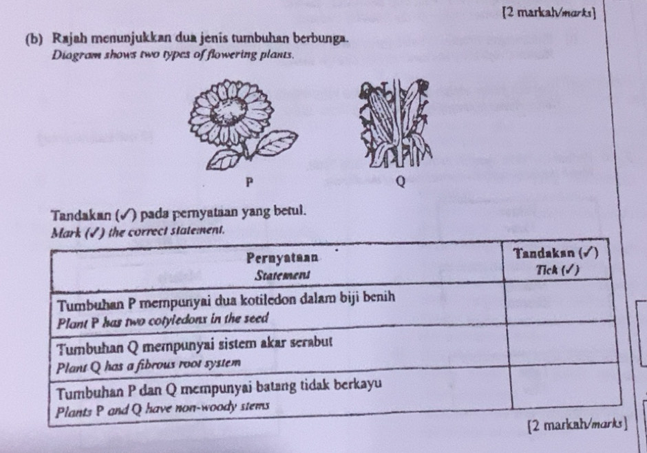 Selesai:[2 markal/morks] (b) Rajah menunjukkan dua jenis tumbuhan ...