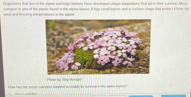 Solved: Organisms that live in the alpine and taiga biomes have ...