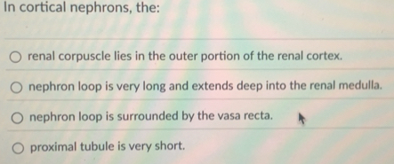 Solved: In cortical nephrons, the: renal corpuscle lies in the outer ...