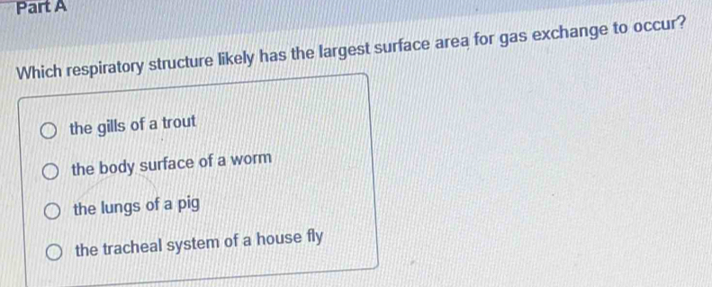 Solved: Which respiratory structure likely has the largest surface area ...