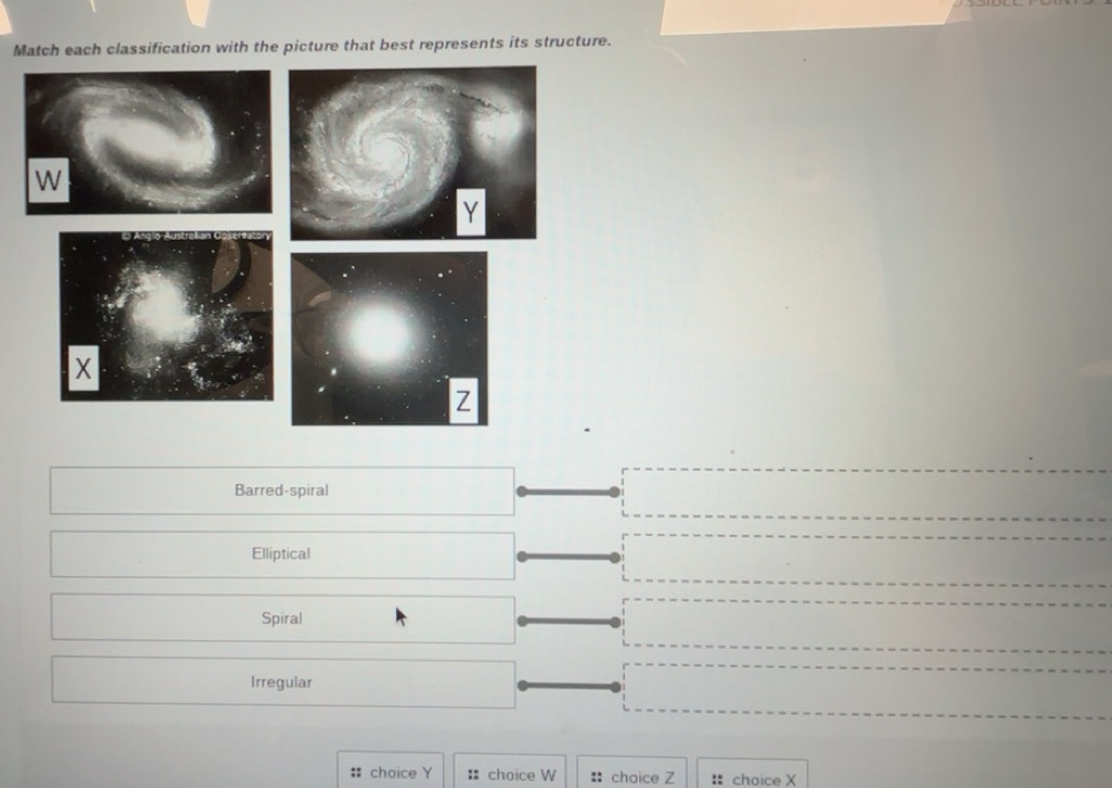 Solved: Match each classification with the picture that best represents ...