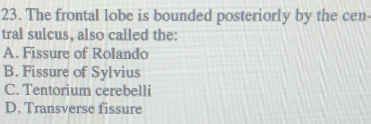 Solved: The frontal lobe is bounded posteriorly by the cen tral sulcus ...