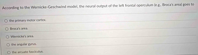 Solved: According to the Wernicke-Geschwind model, the neural output of ...