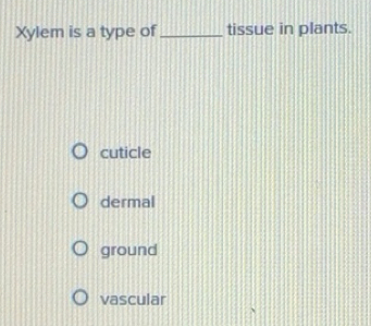 Solved: Xylem is a type of _tissue in plants. cuticle dermal ground ...