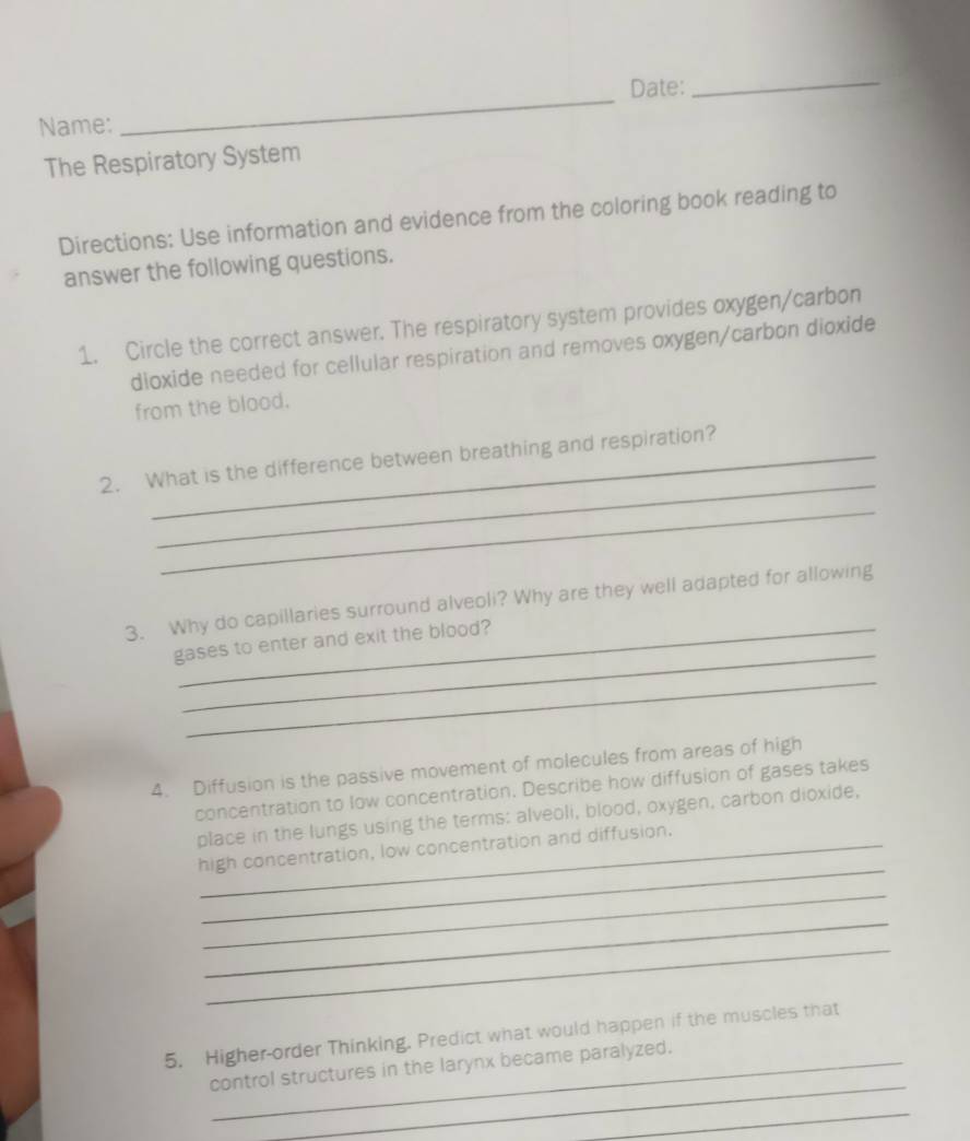 Solved: Date:_ Name: _ The Respiratory System Directions: Use ...