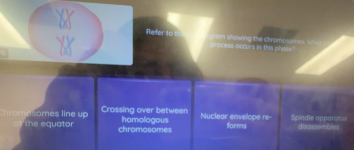 Gelöst:Refer to th gram showing the chromosomes. What process occurs in ...
