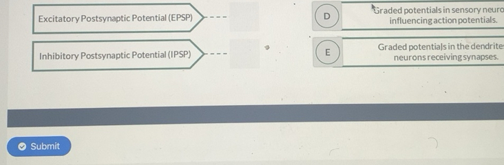 Solved: Excitatory Postsynaptic Potential (EPSP) D Graded potentials in ...