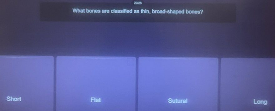 Gelöst:20/25 What bones are classified as thin, broad-shaped bones ...