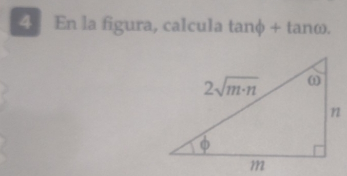 Resuelto:En la figura, calcula tan phi +tan omega