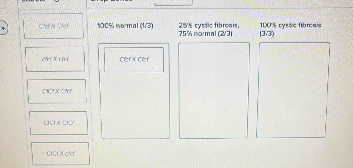 Solved: 26 Cfcf X Cfcf 100% normal (1/3) 25% cystic fibrosis, 100% ...