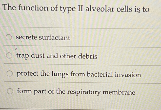 Solved: The function of type II alveolar cells iş to secrete surfactant ...