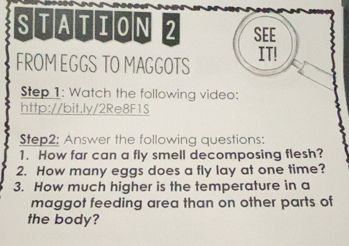 Solved: STATION 2 SEE FROM EGGS TO MAGGOTS IT! Step 1: Watch the ...