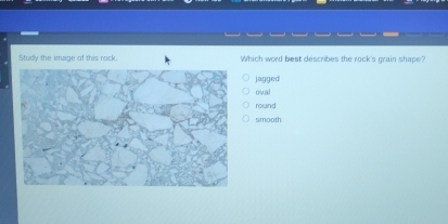 Solved: Study the image of this rock Which word best describes the rock ...