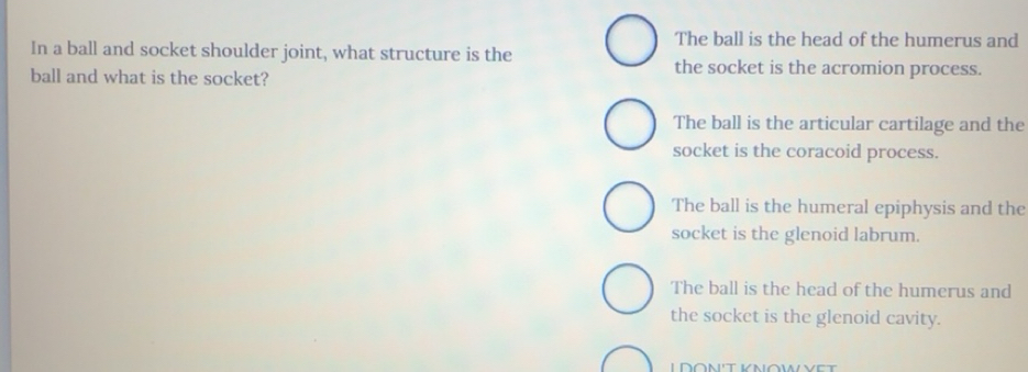 Solved: The ball is the head of the humerus and In a ball and socket ...