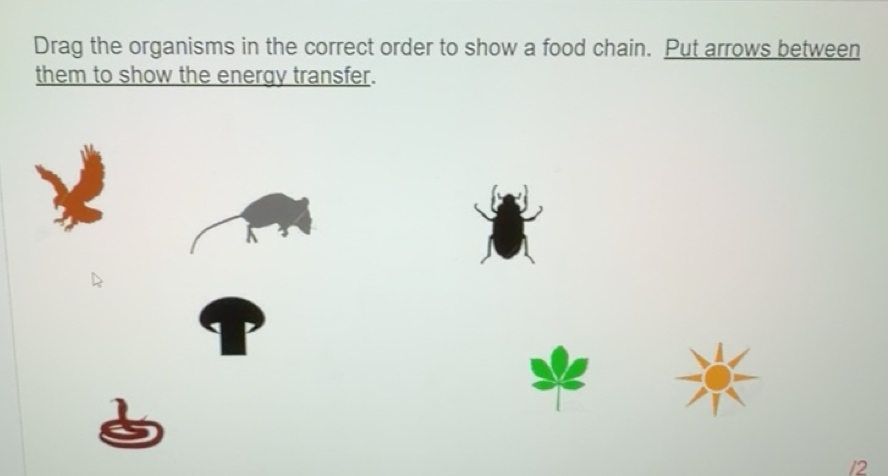 Solved: Drag the organisms in the correct order to show a food chain ...