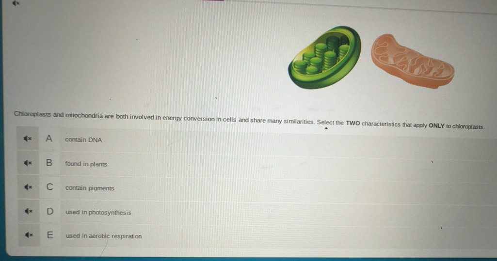 Solved: Chloroplasts and mitochondria are both involved in energy ...