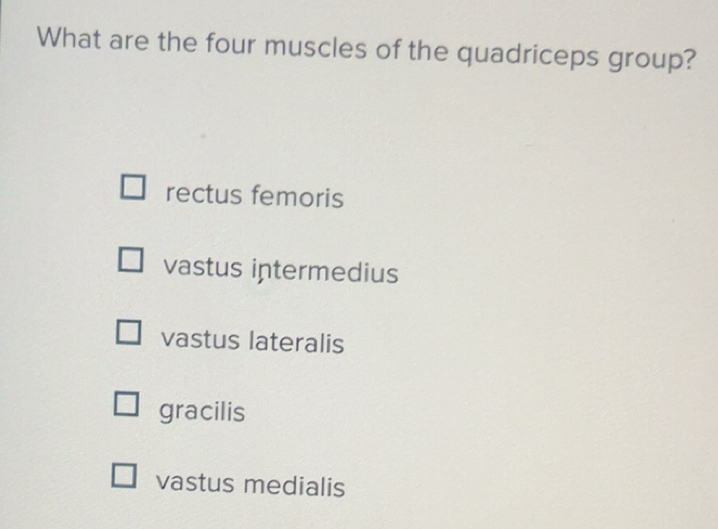 Solved: What are the four muscles of the quadriceps group? rectus ...