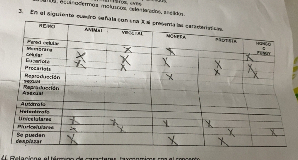 Resuelto:mamiferos. aves anos, equinodermos, moluscos, celenterados ...