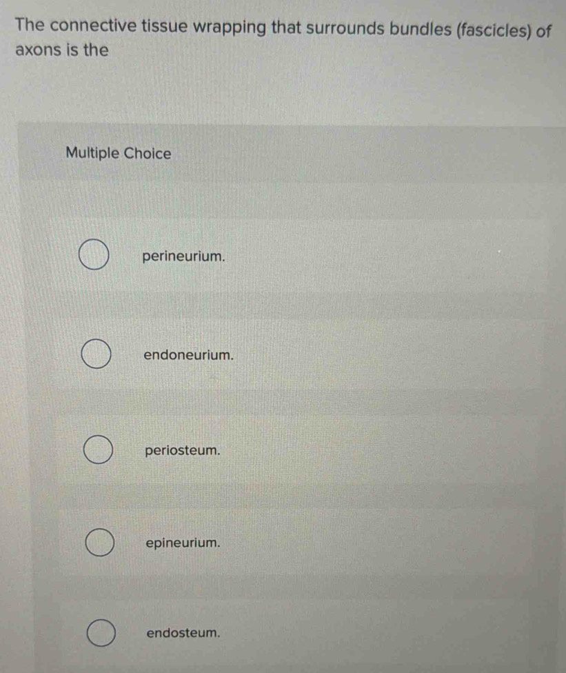 Solved: The connective tissue wrapping that surrounds bundles ...