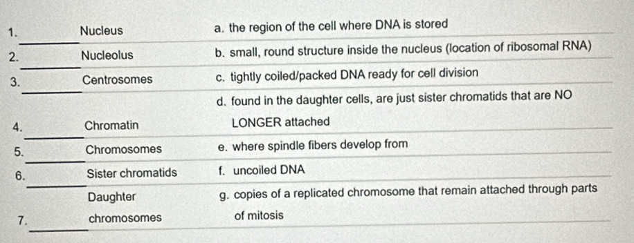 Solved: Nucleus a. the region of the cell where DNA is stored _ _ 2 ...
