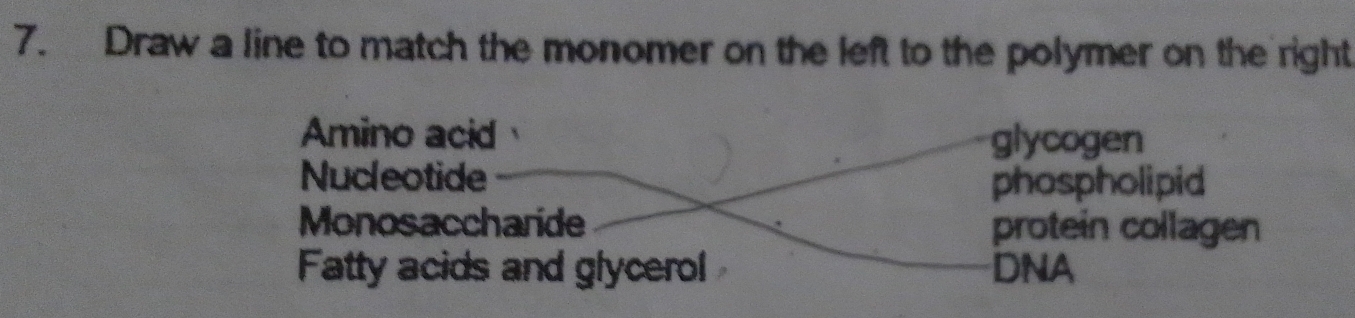Solved: Draw a line to match the monomer on the left to the polymer on ...