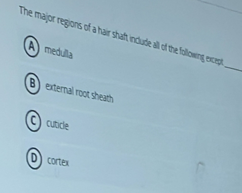 Solved: The major regions of a hair shaft include all of the following ...
