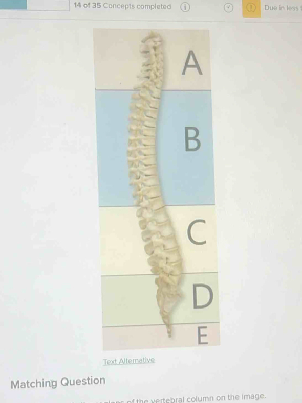 Solved: of 35 Concepts completed 0 4 Due in less Matching Question the vertebral column on the i ...