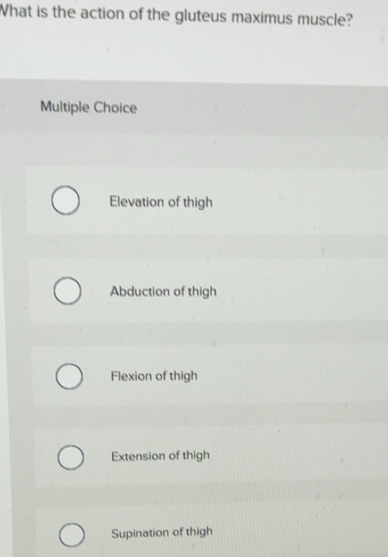 Solved: What is the action of the gluteus maximus muscle? Multiple ...