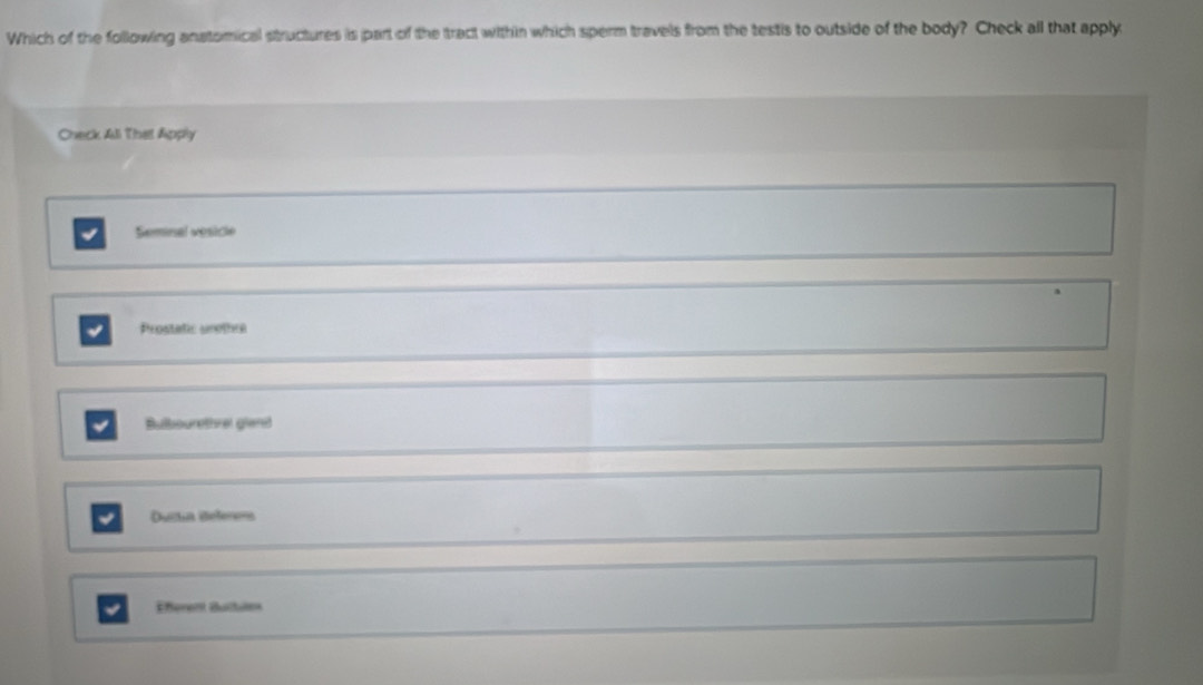 Solved: Which of the following anatomical structures is part of the ...