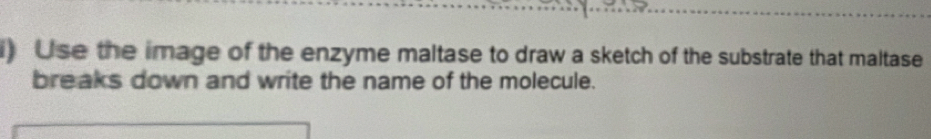Solved: ) Use the image of the enzyme maltase to draw a sketch of the ...