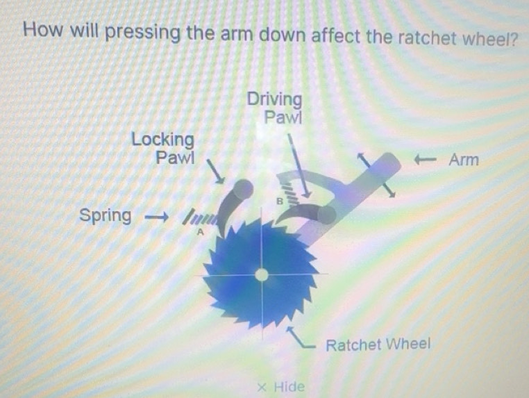 Solved: How will pressing the arm down affect the ratchet wheel? × Hide ...