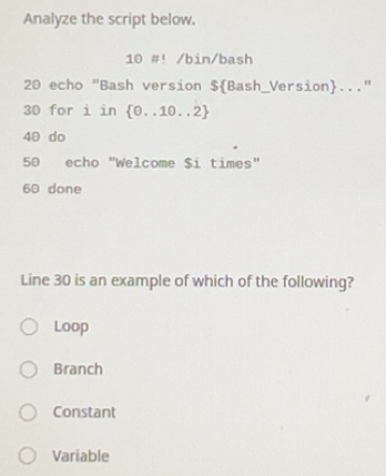 Solved: Analyze the script below. 10 #! /bin/bash 20 echo "Bash version ...