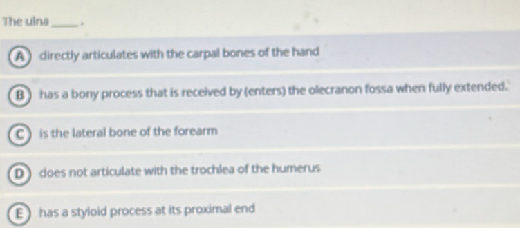 Solved: The ulna_ A directly articulates with the carpal bones of the ...