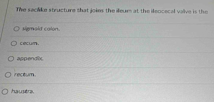 Solved: The saclike structure that joins the ileum at the ileocecal ...