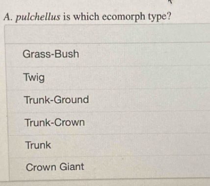 Solved: pulchellus is which ecomorph type? Grass-Bush Twig Trunk-Ground ...