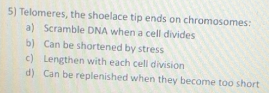 Solved: Telomeres, the shoelace tip ends on chromosomes: a) Scramble ...