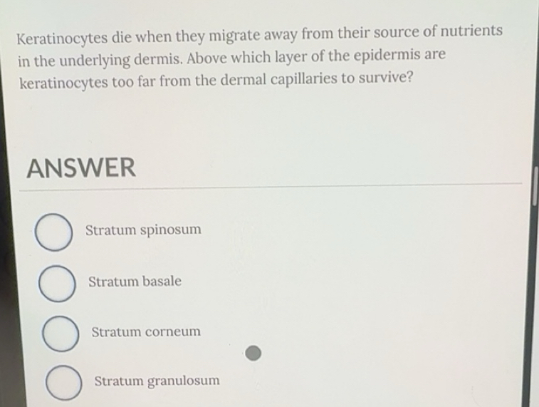Solved: Keratinocytes die when they migrate away from their source of ...