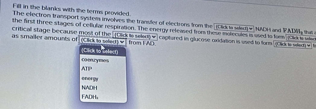 Solved: Fill in the blanks with the terms provided. The electron transport system involves the ...