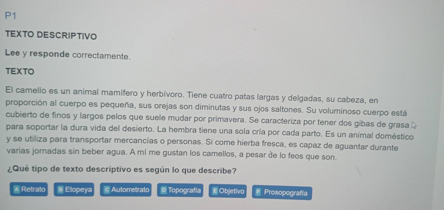 Resuelto:P1 TEXTO DESCRIPTIVO Lee y responde correctamente. TEXTO El ...